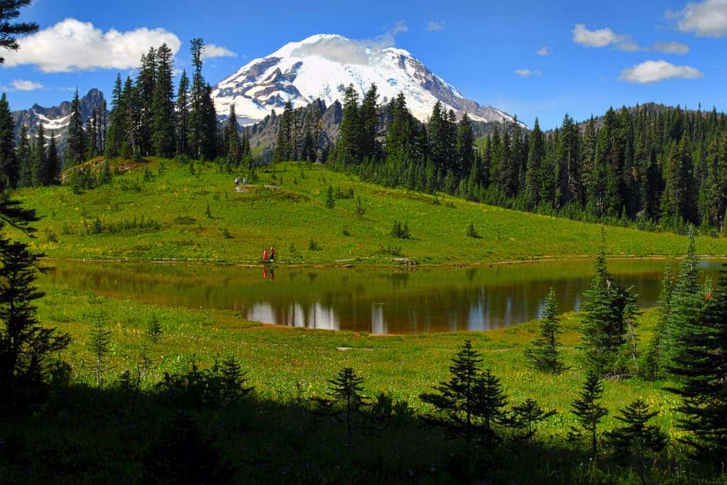 Chinook Pass | SR 410 - Visit Rainier