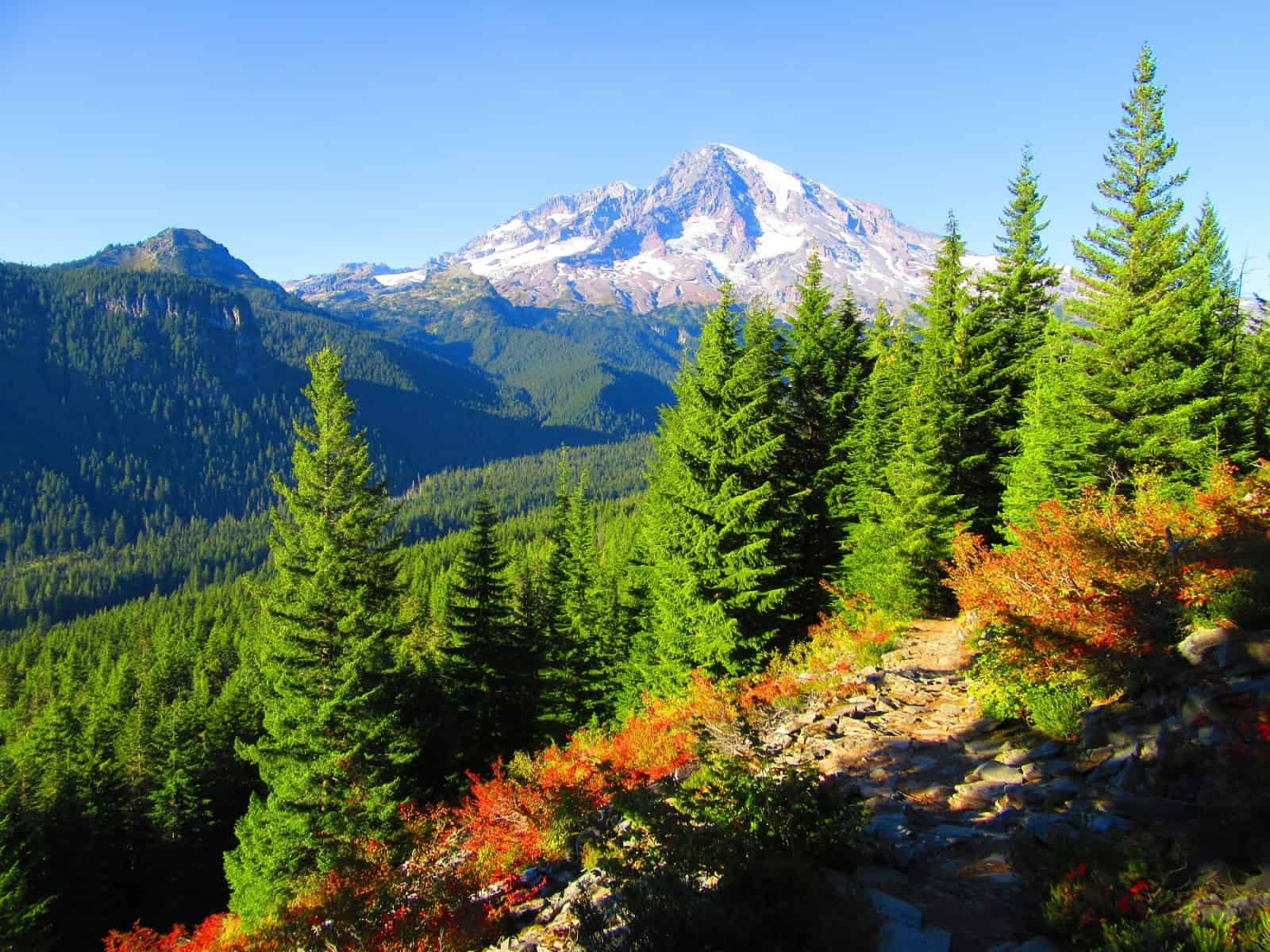 Hike the Rampart Ridge Trail | Visit Rainier