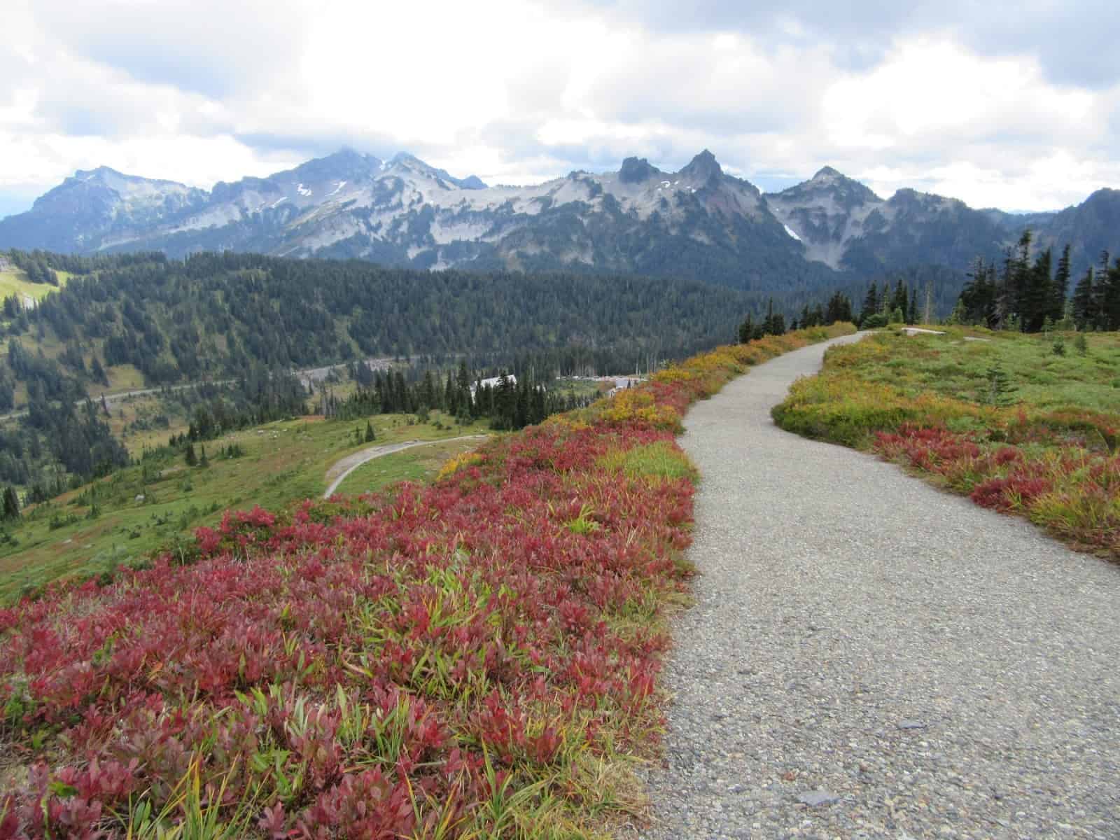 Alta Vista Trail - Visit Rainier