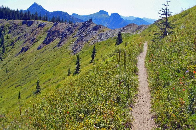 Juniper Ridge Trail - Visit Rainier