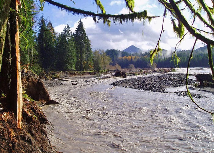 Nisqually River Fishing - Visit Rainier