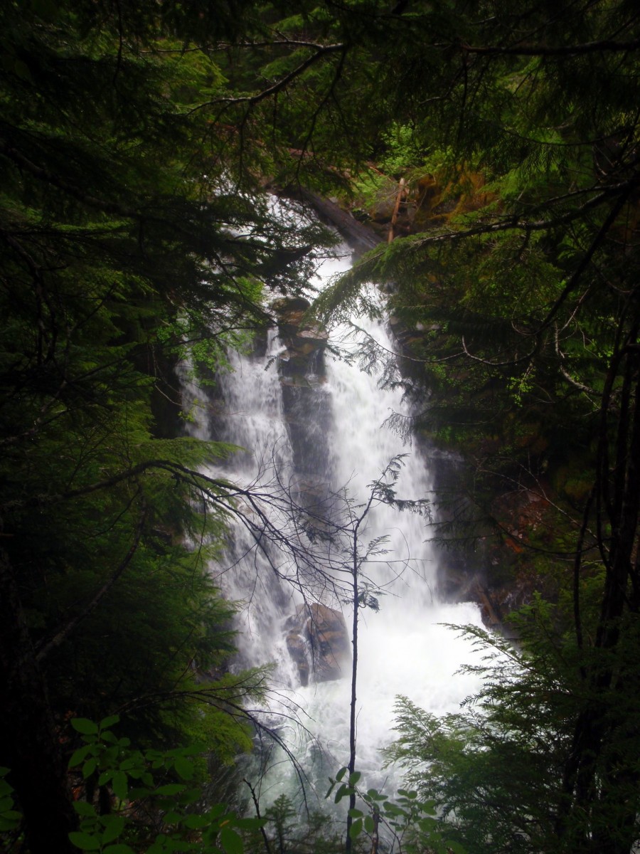 Carter Falls at Mount Rainier - Visit Rainier