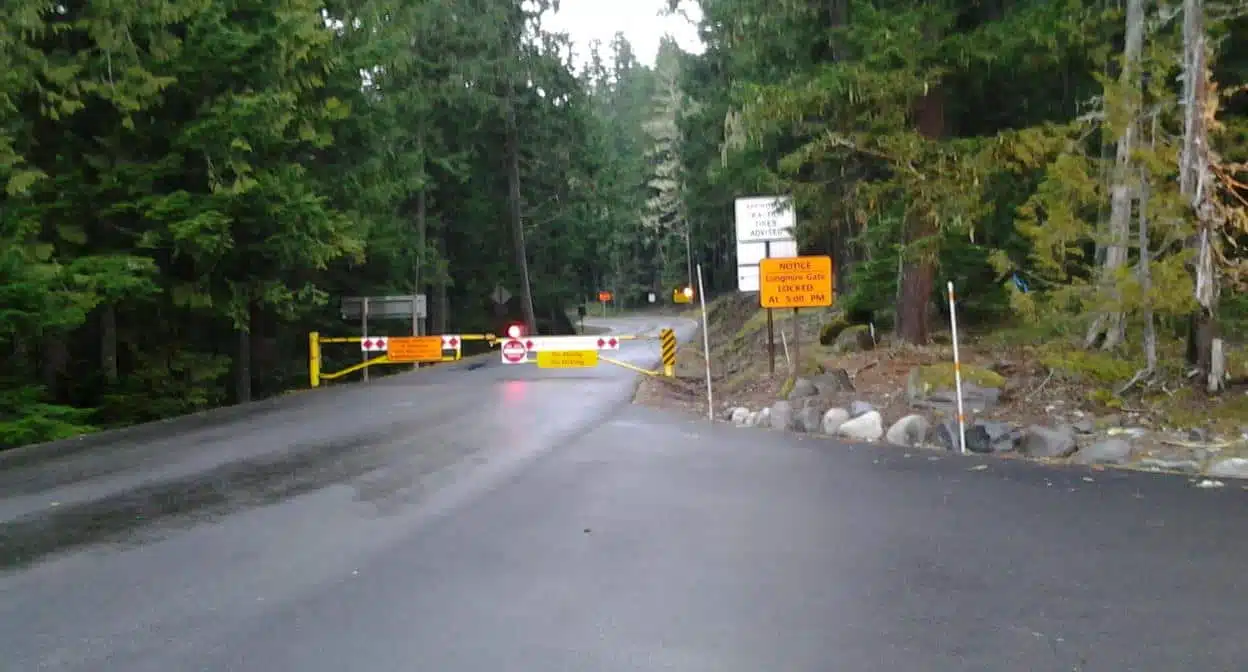 Longmire to Paradise - Visit Rainier