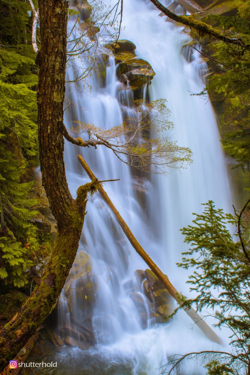 Carter Falls at Mount Rainier | Visit Rainier
