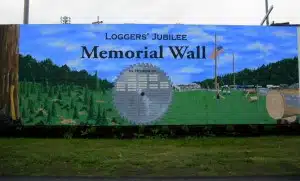 Drive the Mt. Rainier West Side Loop | Visit Rainier