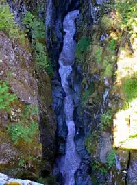 Drive the Mt. Rainier West Side Loop | Visit Rainier