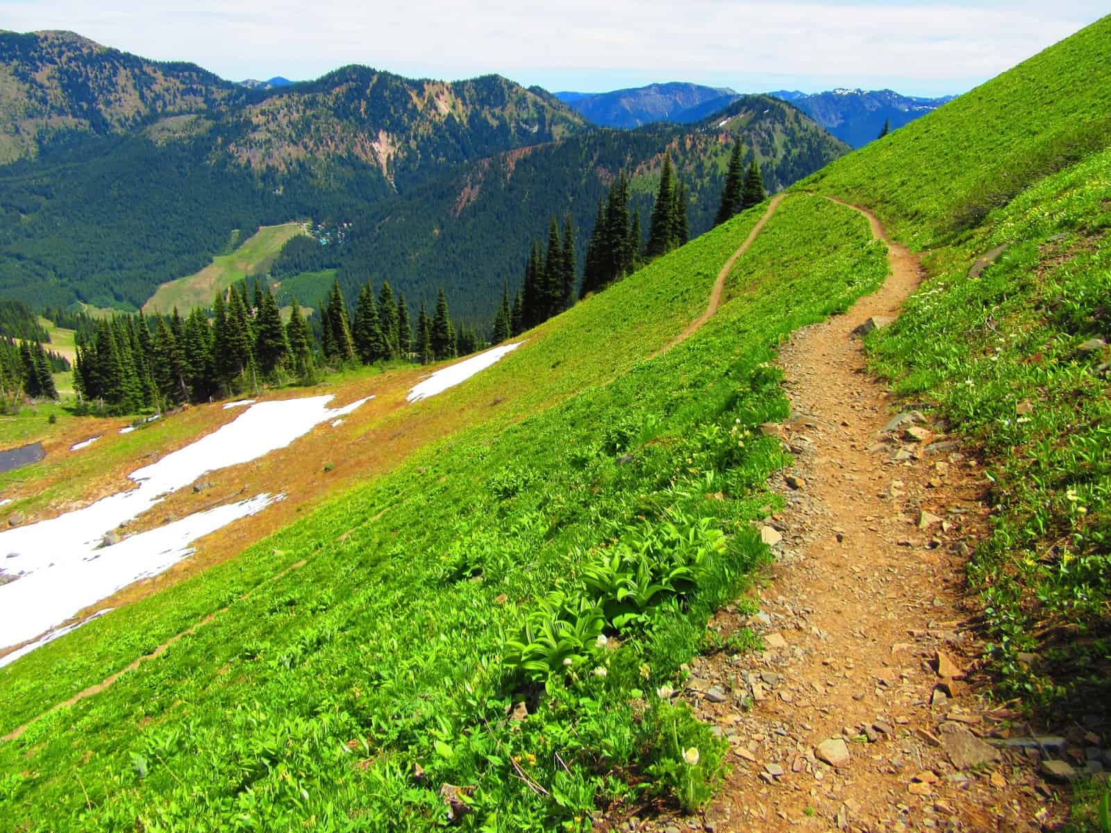 Hike the Crystal Mountain Loop | Visit Rainier