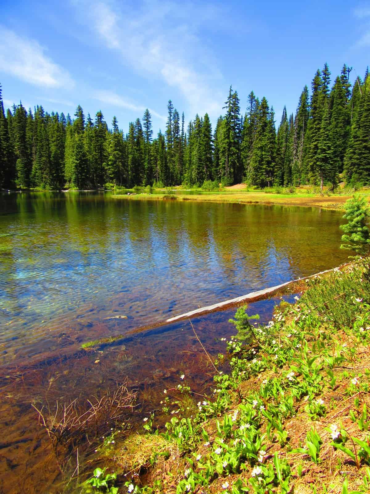 Henskin Lake - Visit Rainier