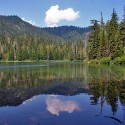 Hiking Grand Park via Lake Eleanor | Visit Rainier