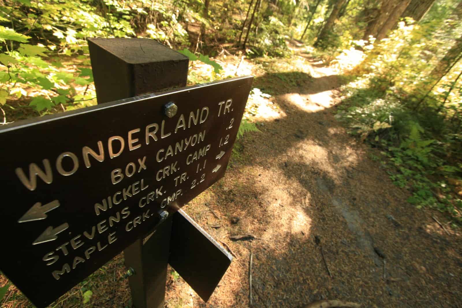 Hiking Wonderland Trail | Visit Rainier