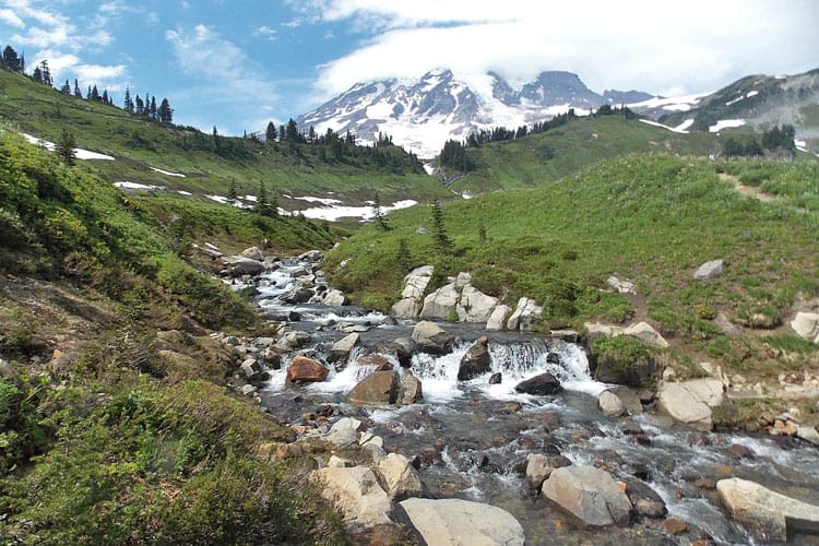 Mazama Ridge Loop - Visit Rainier