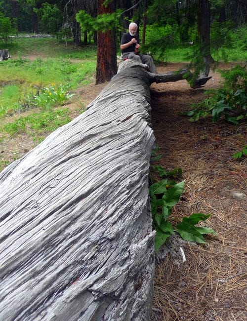 Boulder Cave Natural Area - Visit Rainier