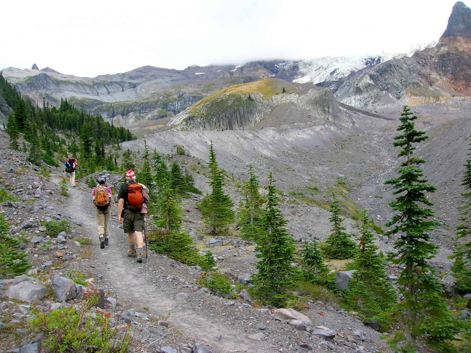 Wonderland Trail Pt. 1: Longmire to North Puyallup River - Visit Rainier