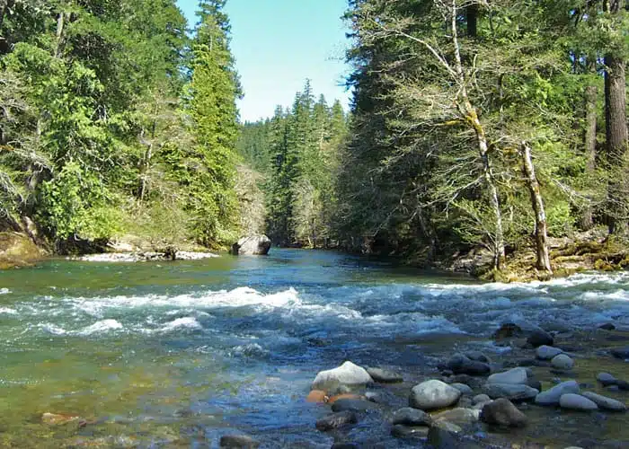 Fishing at Mt. Rainier | Visit Rainier