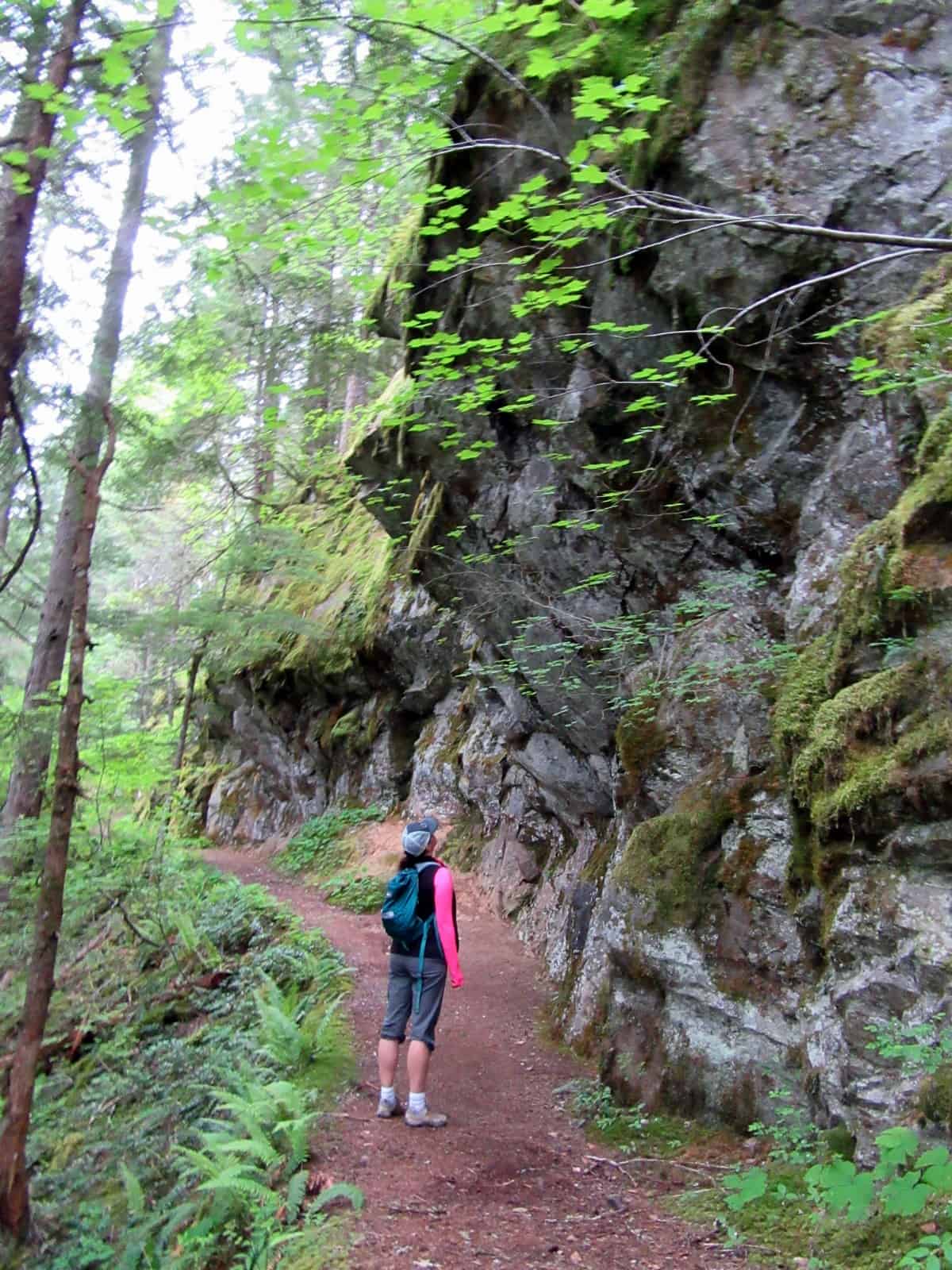 Hike Silver Falls Loop - Visit Rainier
