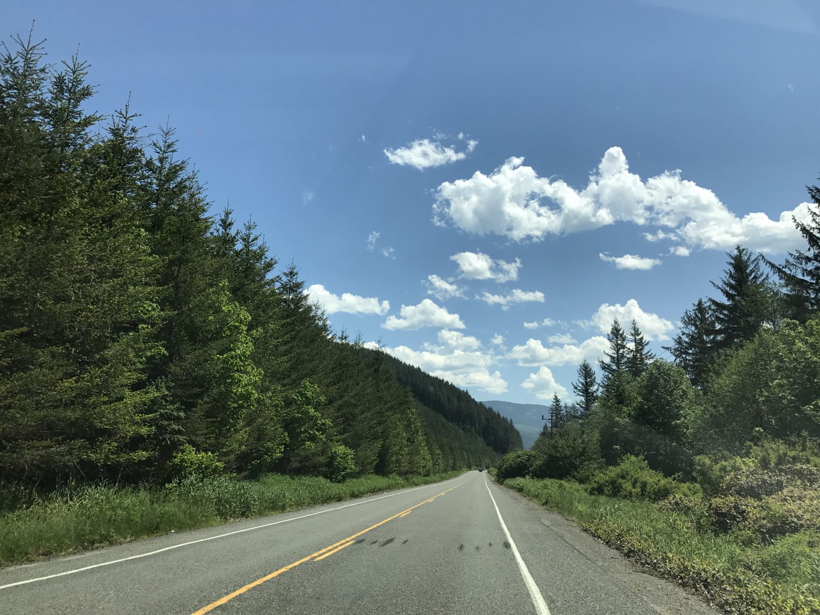 Explore the area along the Cayuse Pass - Visit Rainier