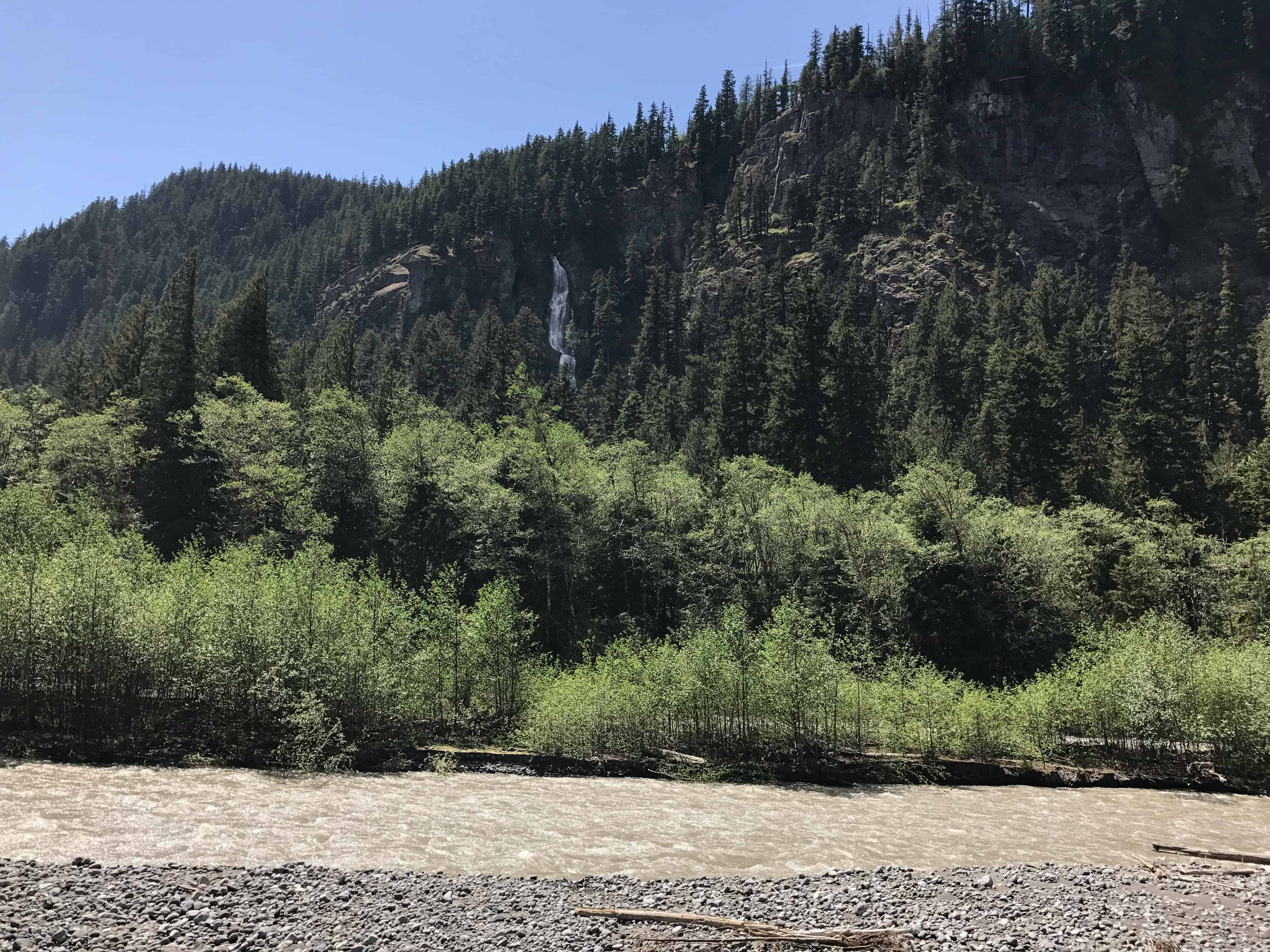 Explore the area along the Cayuse Pass - Visit Rainier