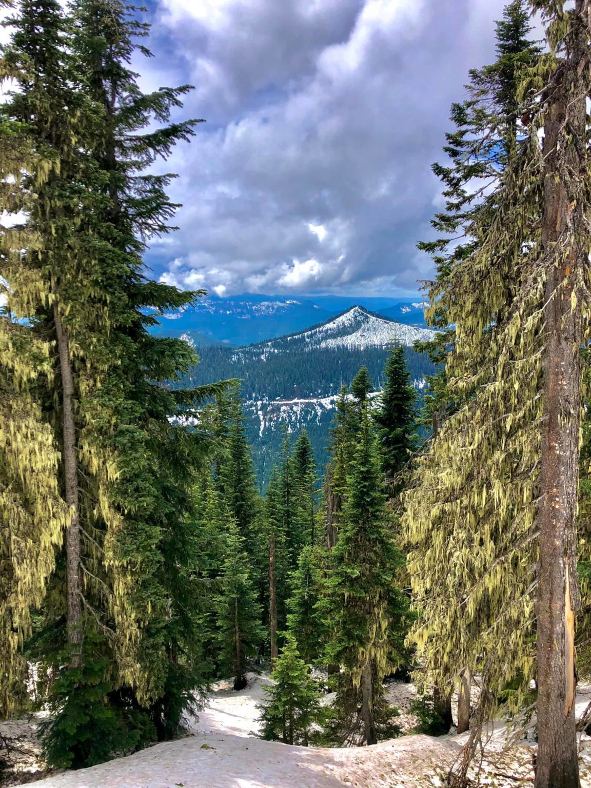 Hiking to High Rock Lookout | Visit Rainier