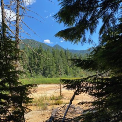 Walk the Trail of the Shadows Loop | Visit Rainier