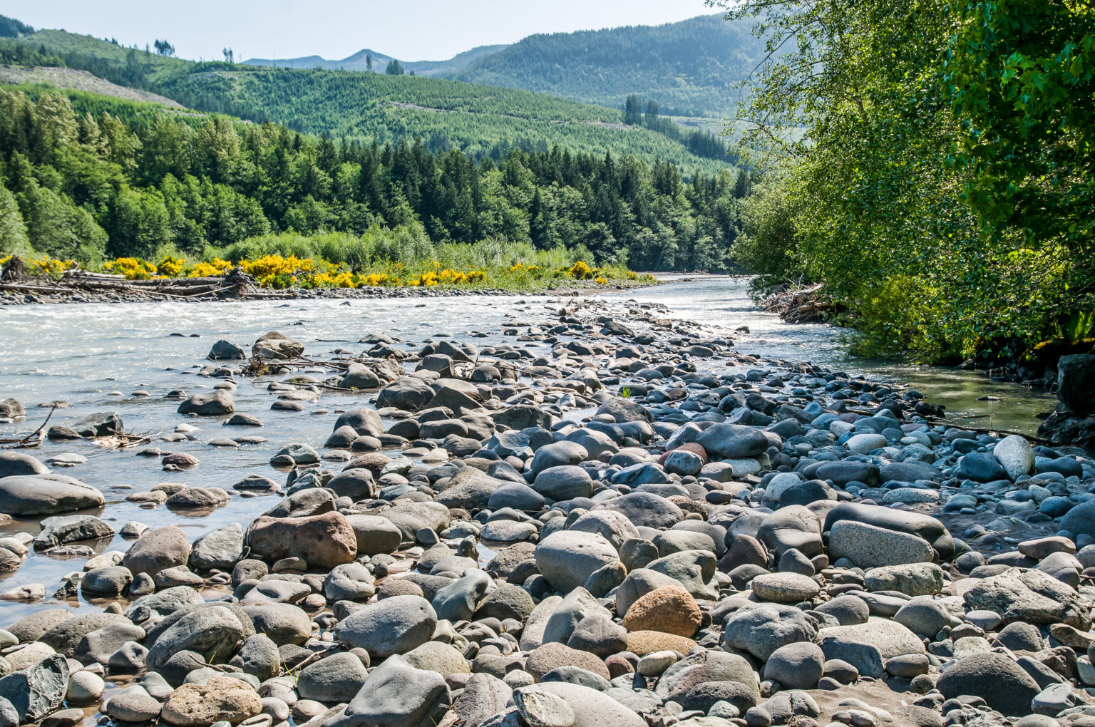 Hiking at Federation Forest State Park | Visit Rainier