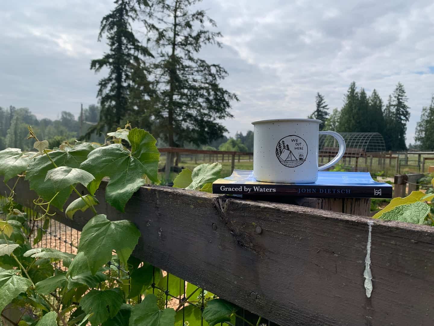 The Nest at Left Foot Farm - Visit Rainier