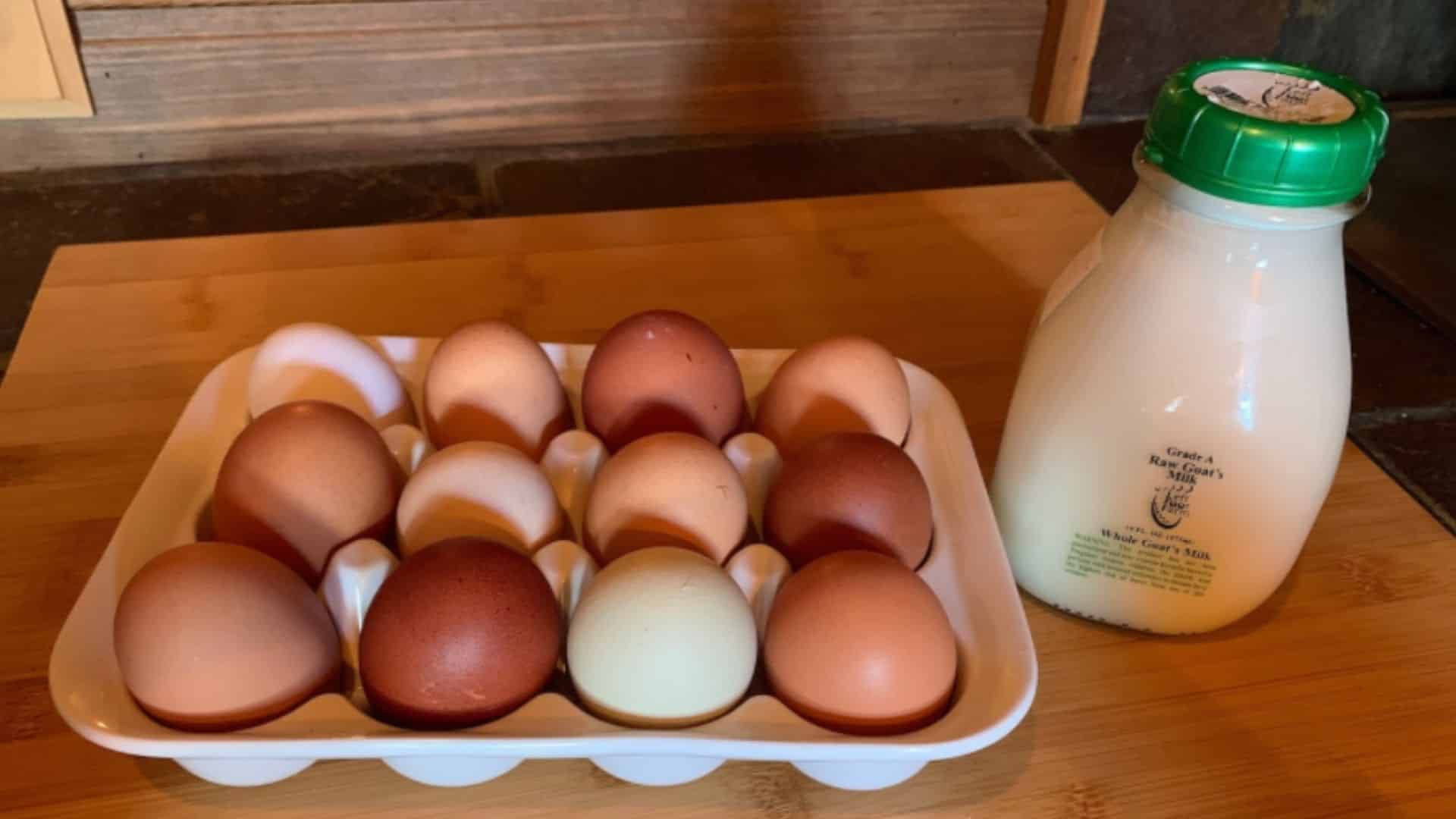 The Nest at Left Foot Farm - Visit Rainier