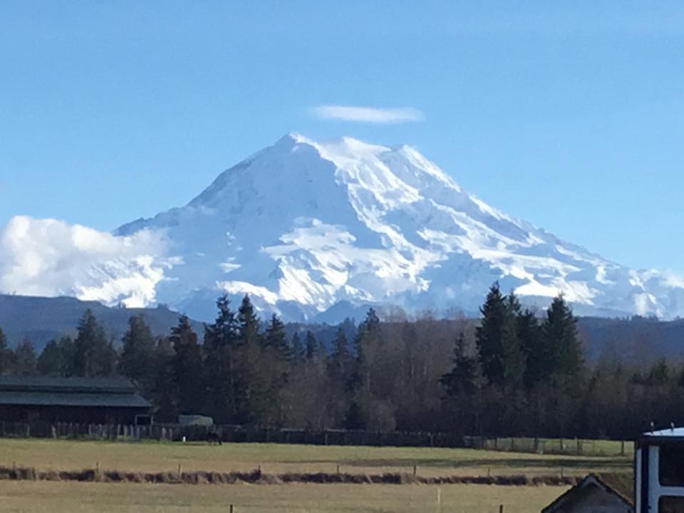 Rainier Viewpoints Outside of Mount Rainier National Park - Visit Rainier
