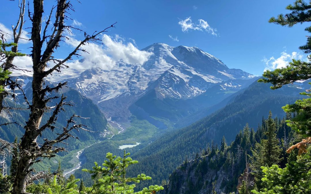 Blog - Visit Rainier